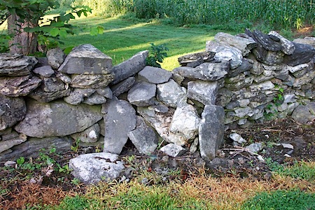 Stealing | Stone Wall Initiative