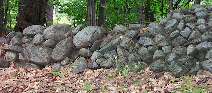 Land History | Stone Wall Initiative