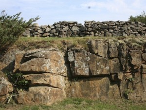 Description of Taxa | Stone Wall Initiative