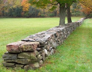 Walls | Stone Wall Initiative