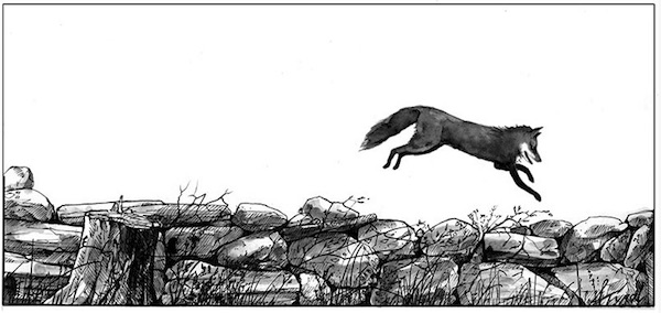 Highlights from "Northern Woodlands" Magazine | Stone Wall Initiative